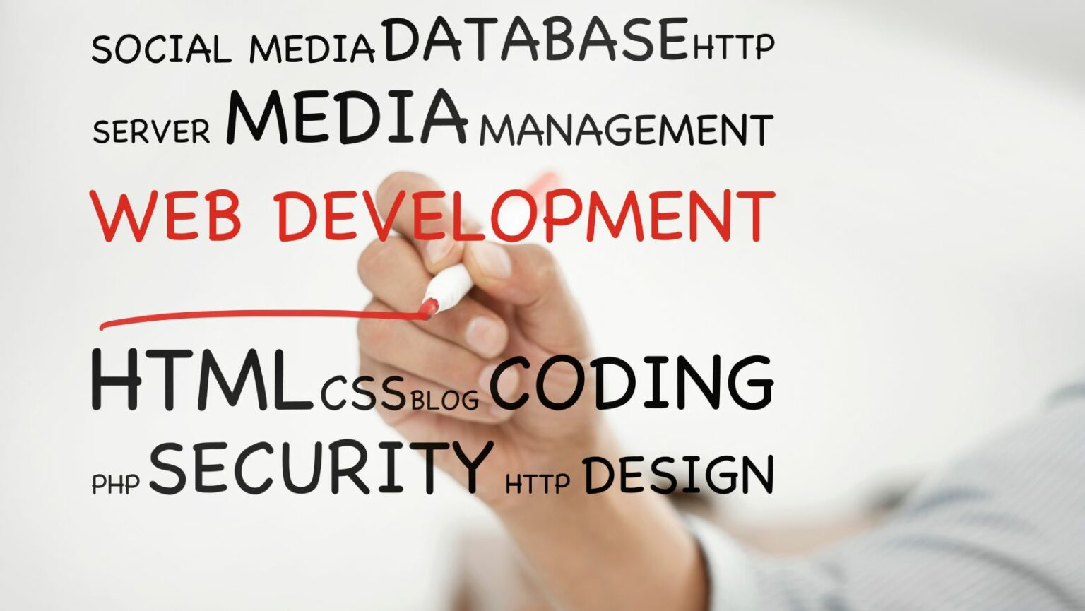 Mastering the GIMP Shape Tool: A Complete Guide for Designers and ...